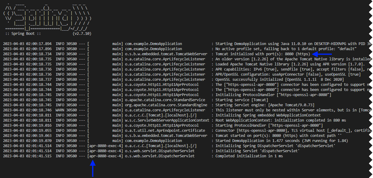  Spring Boot 2 Example APR Native Library Configuration With Tomcat 