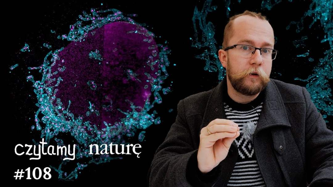 💻 Explore Findings & News - Dirask